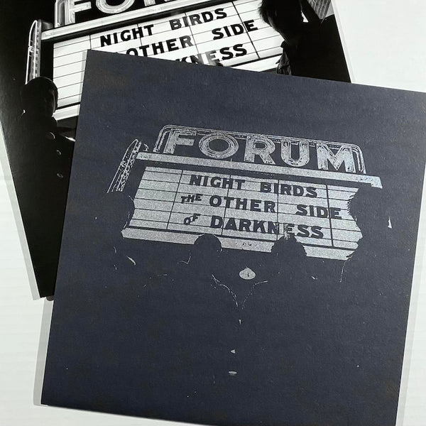 VAULT ITEM: NIGHT BIRDS "The Other Side of Darkness" LP / Silkscreened – Grave Mistake Records